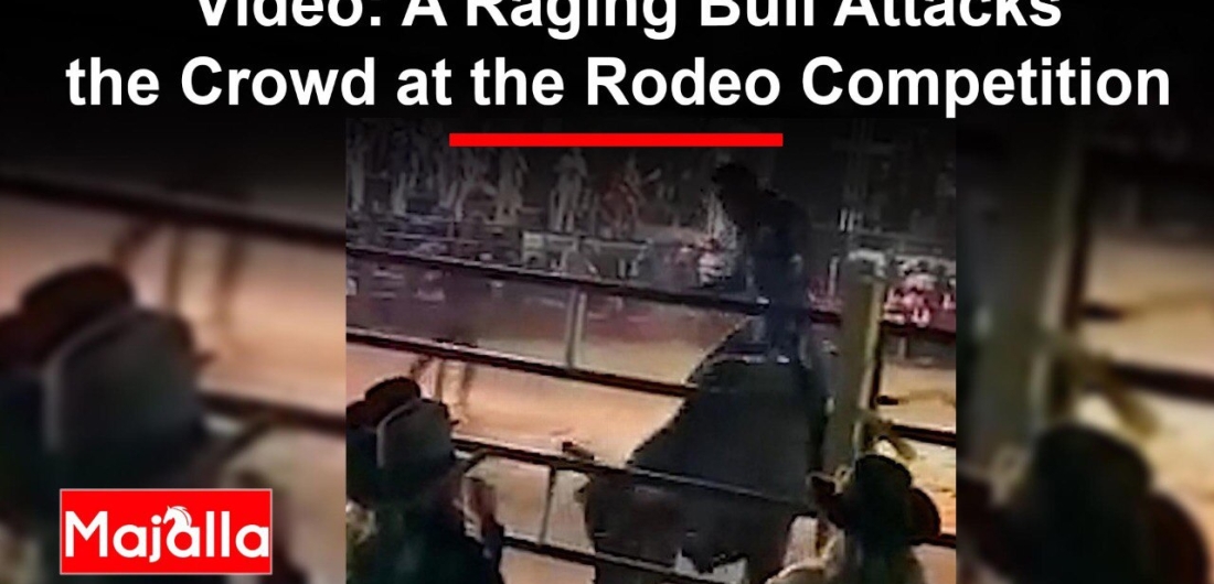 Video: A Raging Bull Attacks the Crowd at the Rodeo Competition | Al ...