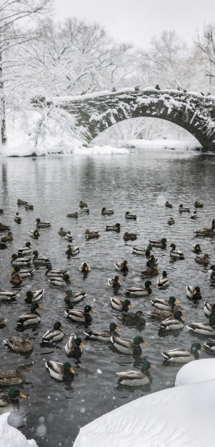 New England blizzard, Ramadan rituals and more | Al Majalla